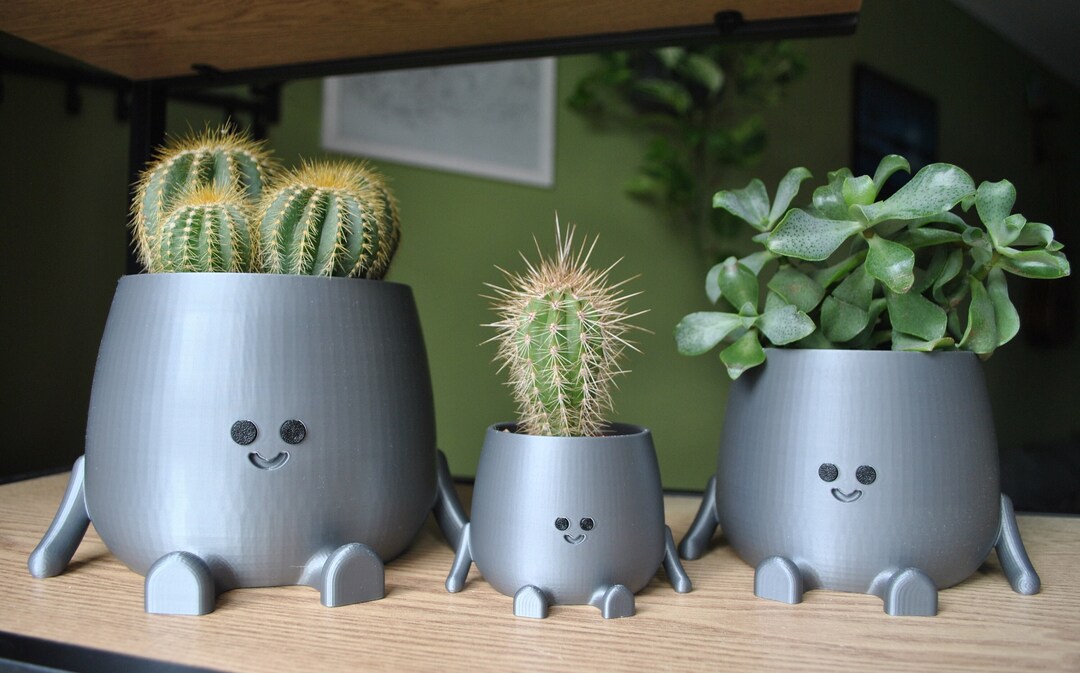 Happy Face Plant Pot: Gray Indoor 3D Printed Planter - Etsy