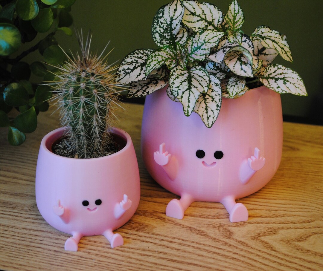 Happy Middle Finger Planter Kawaii Planter,planter Cute Face,succulent ...