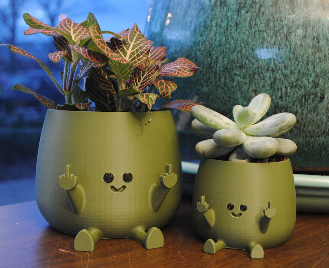 Happy Middle Finger Planter Kawaii Planter,planter Cute Face,succulent ...