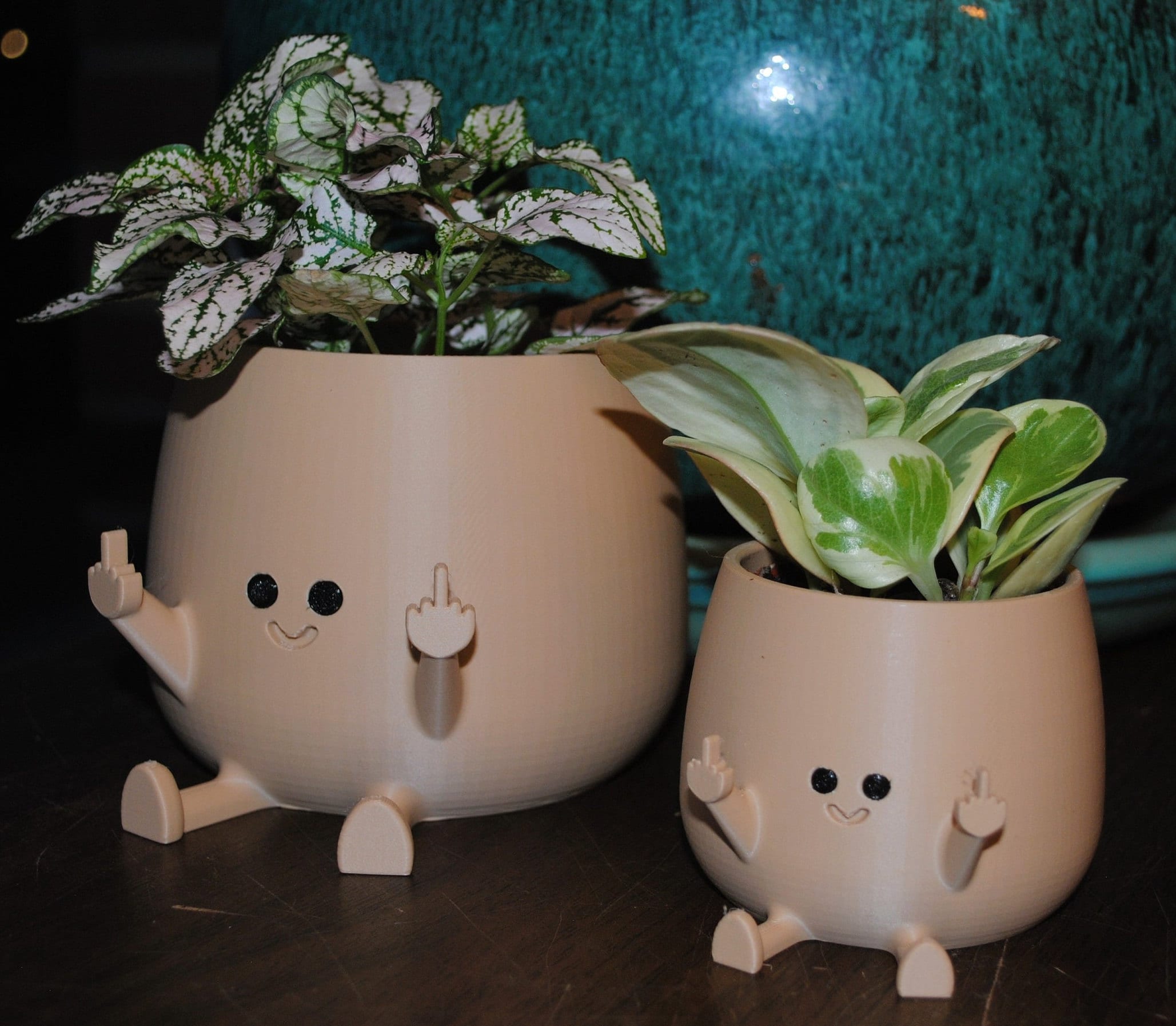 Happy Middle Finger Planter Color: Brown, Kawaii Planter,planter Cute ...