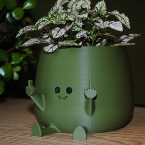 Middle Finger Plant Pot: Green Indoor 3D Printed Planter - Etsy