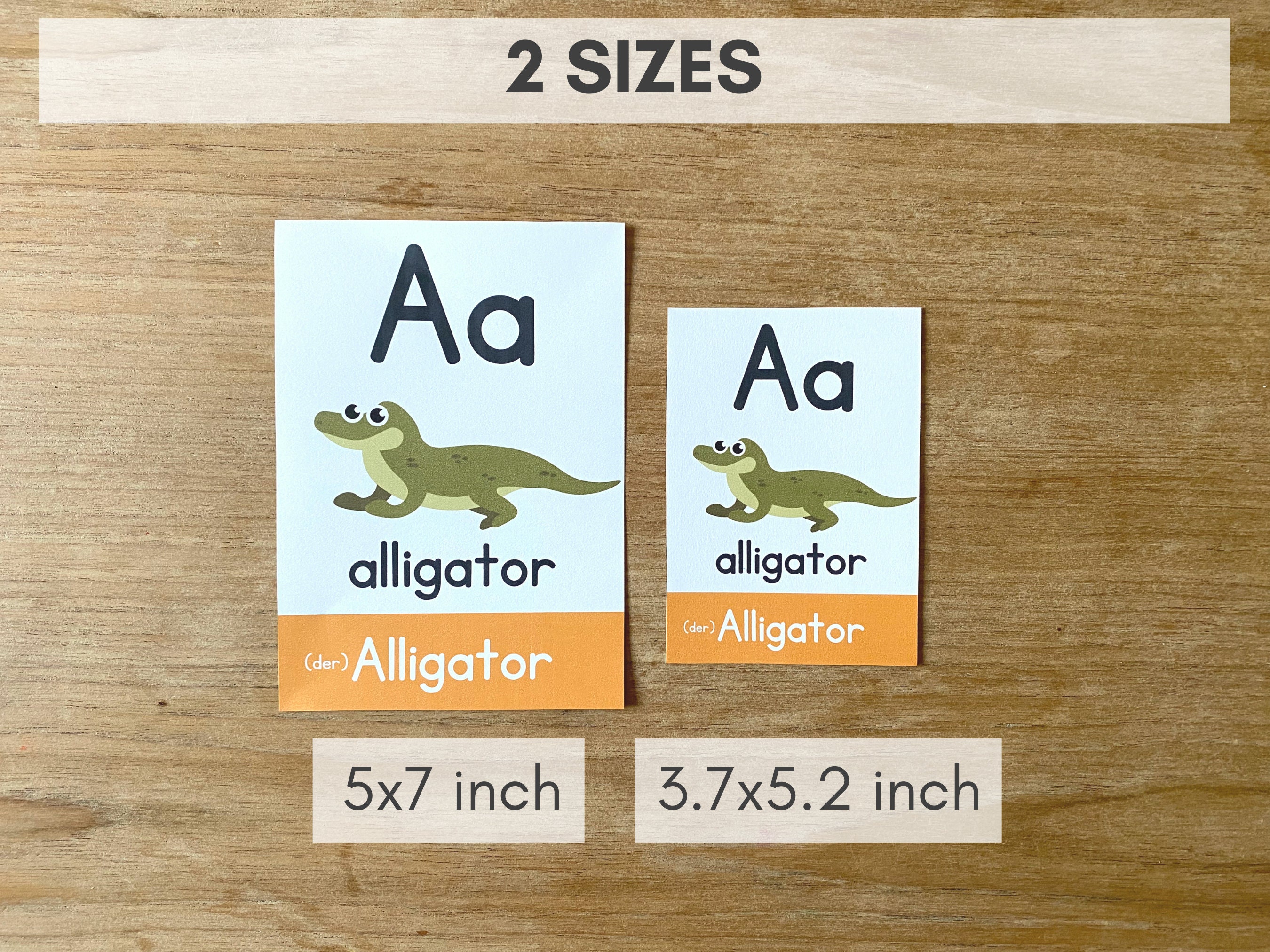 English German Alphabet Cards, Preschool Flashcards, Toddler Flashcards ...