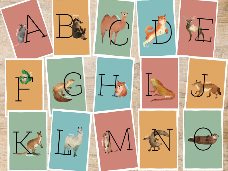 Preschool Alphabet Flash Cards Animals, Learning Abcs, Homeschool ...