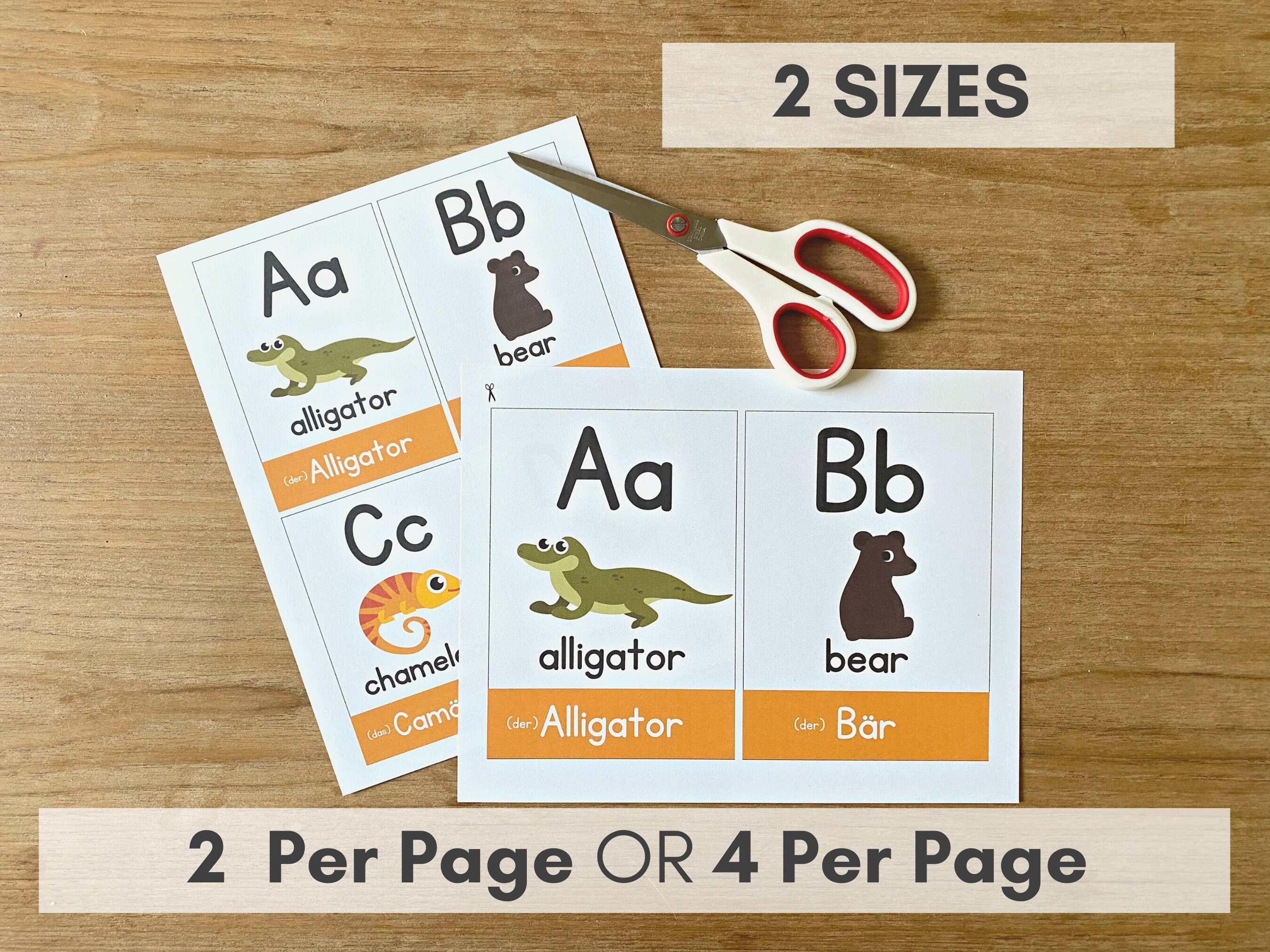 English German Alphabet Cards, Preschool Flashcards, Toddler Flashcards ...