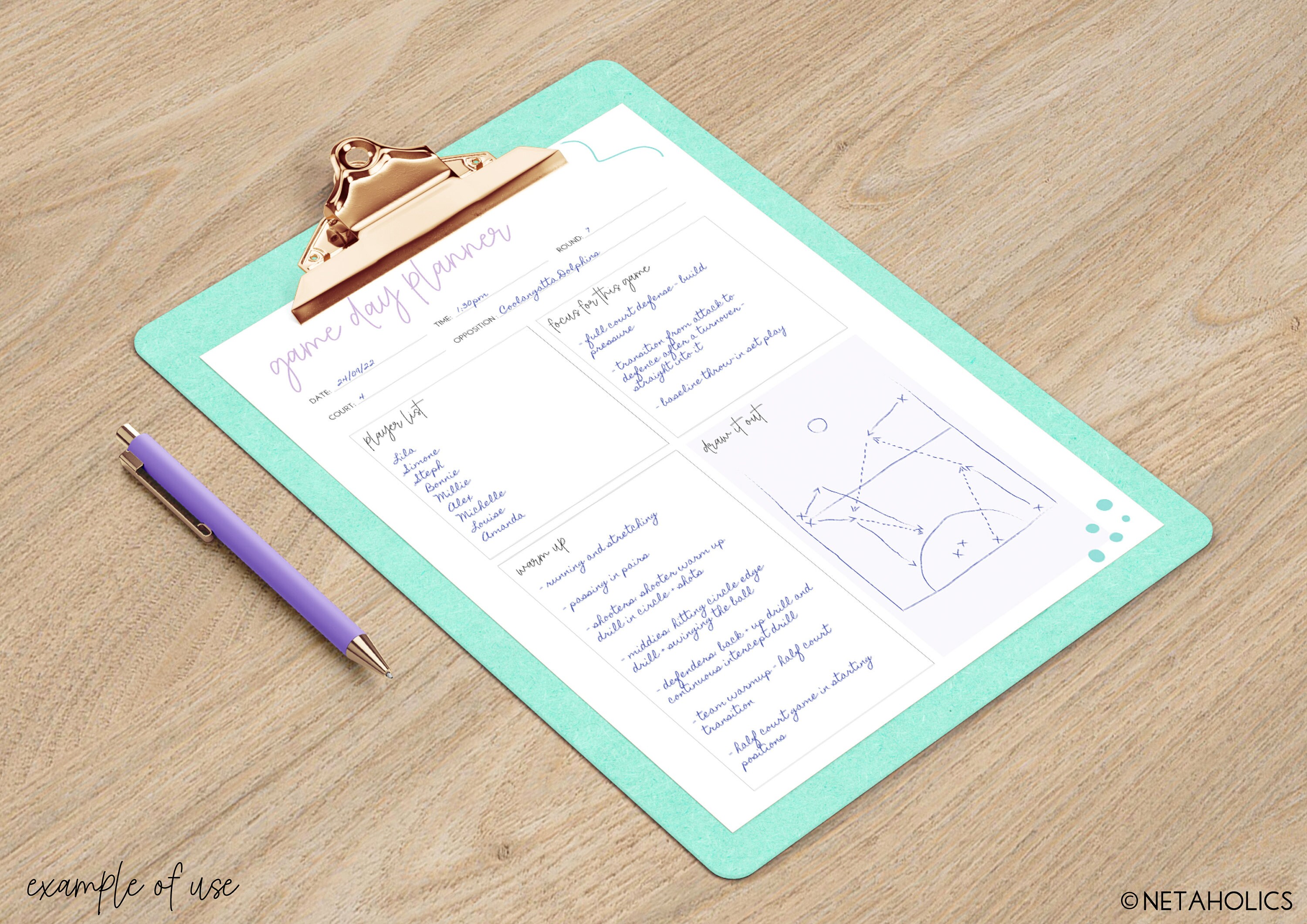 Netball Game Day Planner Coach Printable Netaholics - Etsy Australia