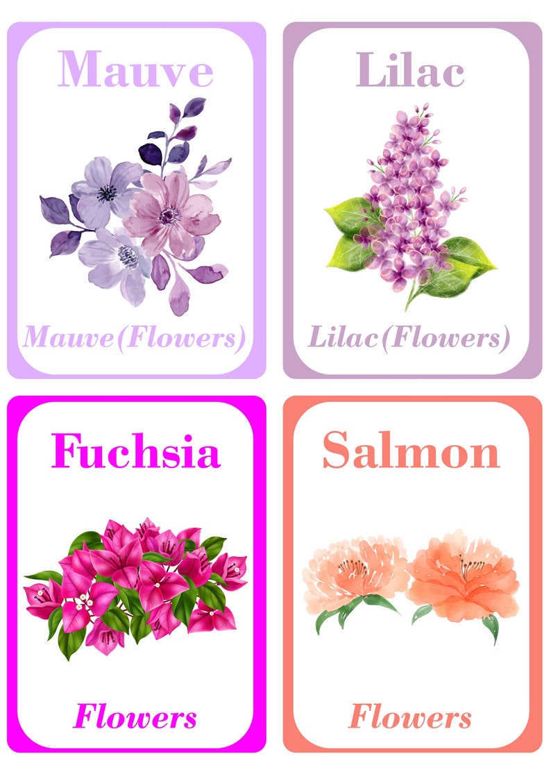 Color Flash Cards for Kids With Pictures 48 Cards - Digital Download ...