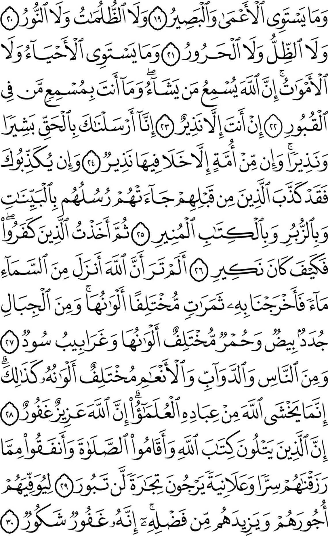 Printable Surah Faatir 35 سورہ فاطر / Sura Fatir All Verses - Etsy