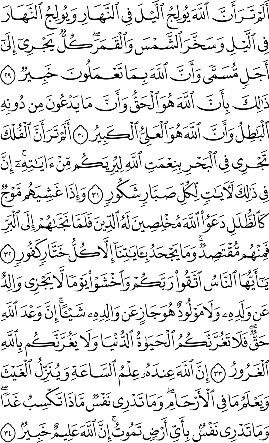 Printable Surah Luqman 31 سورہ لقمان / Sura Luqmaan All Verses - Etsy