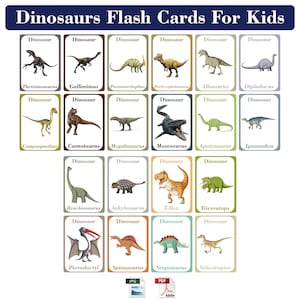 Dinosaurs Flash Cards for Kids - PDF and JPG Download 3.5 X 5 Inches on ...