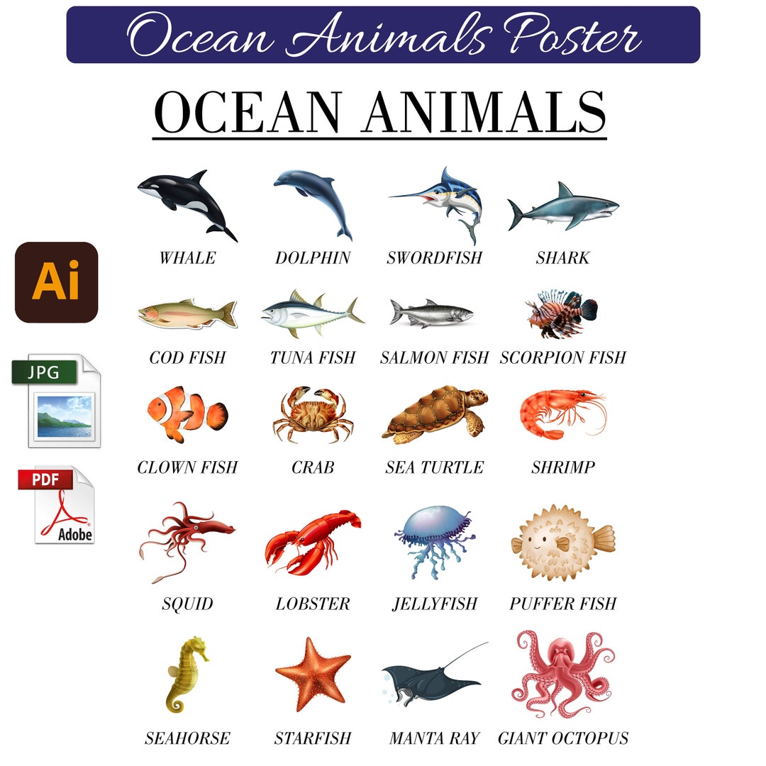 Ocean Animal Kids Poster PDF Printable JPG Instant Download - Etsy