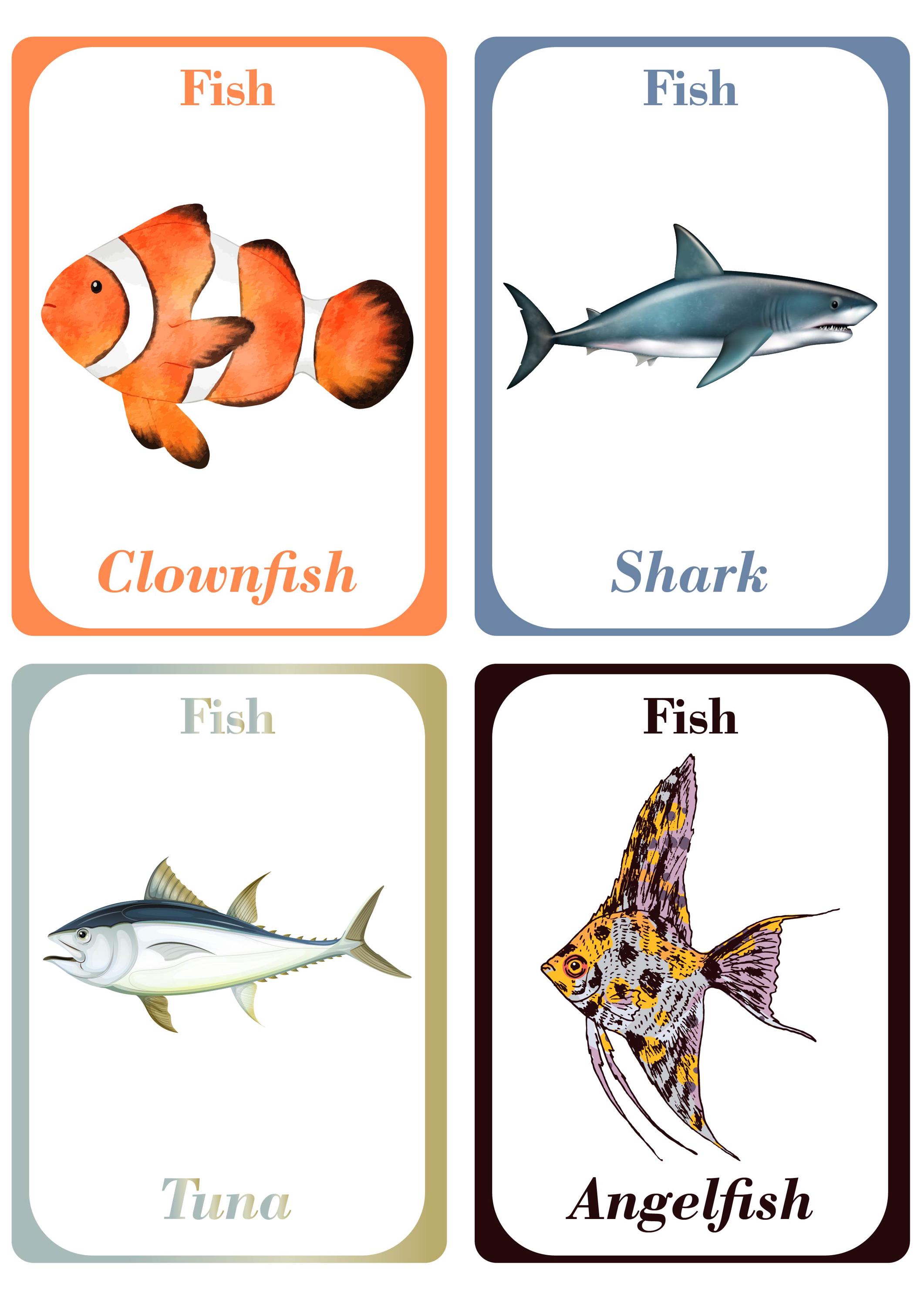 Sea Creatures Flash Cards for Kids, Educational PDF and JPG Download - Etsy