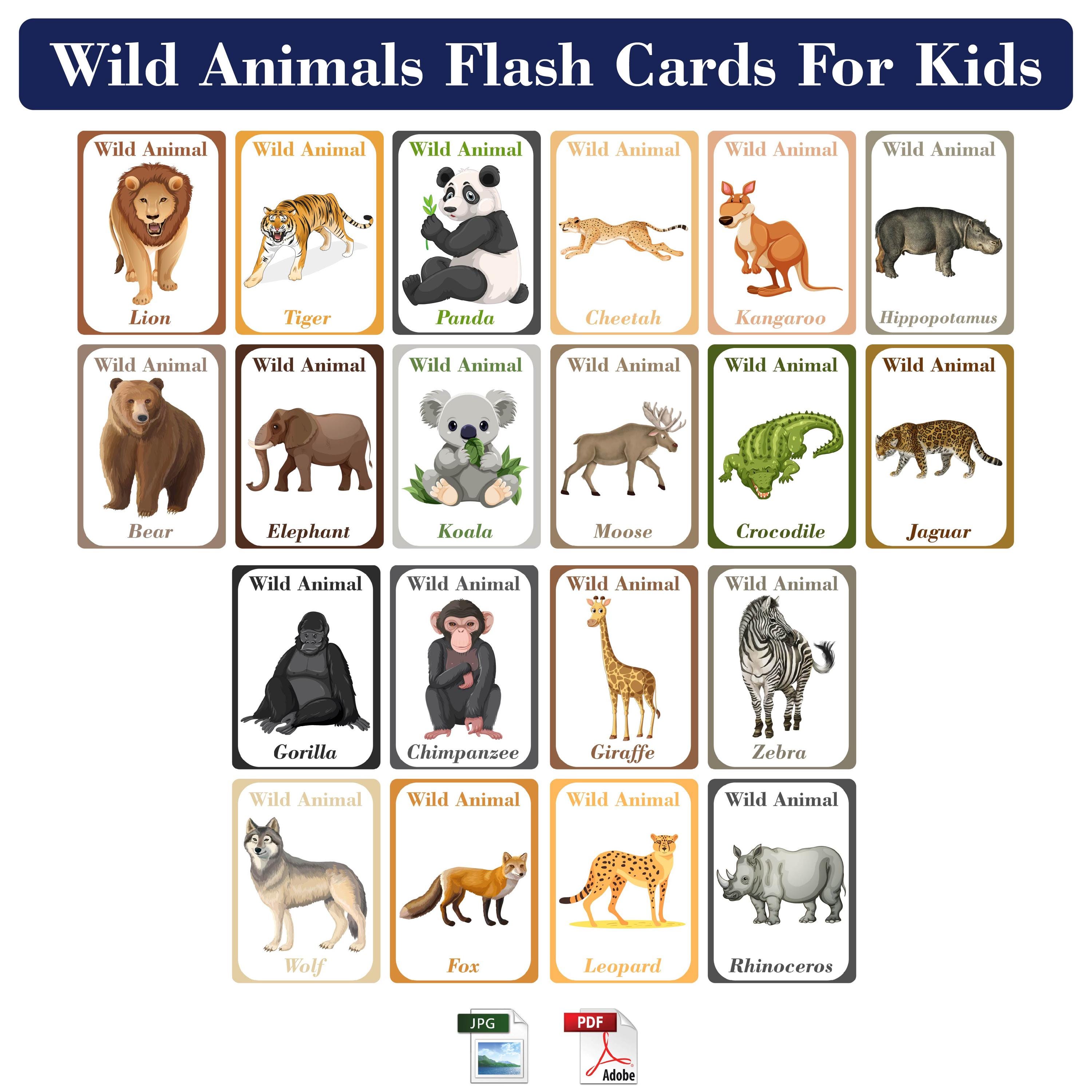 Wild Animals Flash Cards for Kids | Educational Flashcards | Safari ...