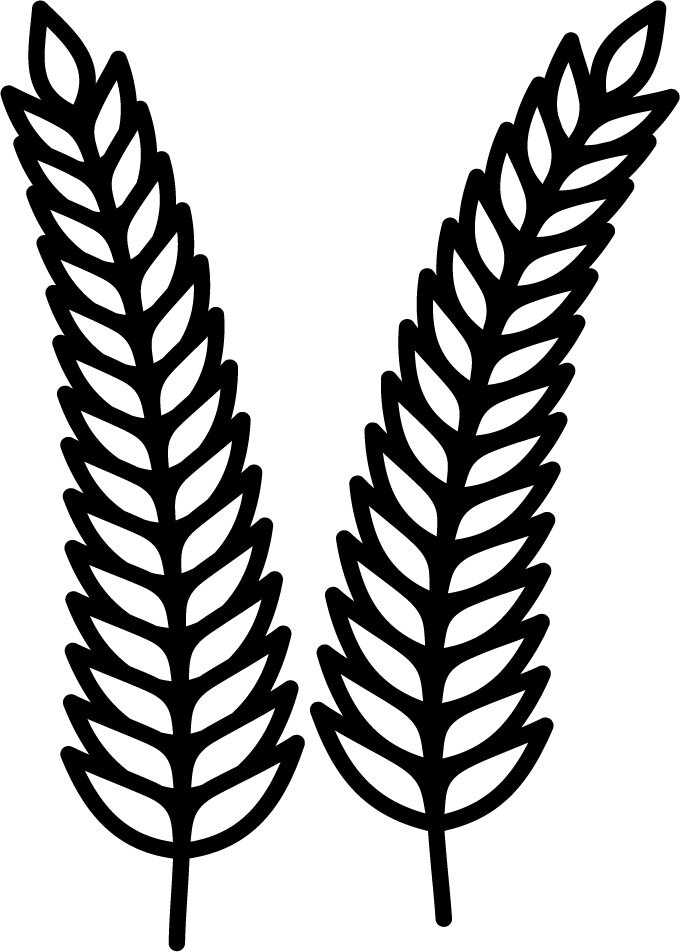 Wheat SVG Bundle Grain Clipart Barley Design Cut Files - Etsy