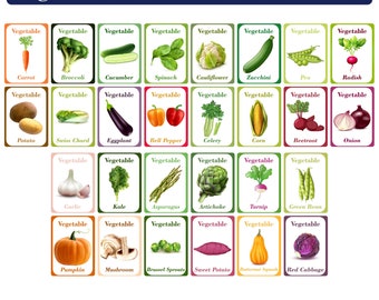 Vegetable Flash Cards for Kids - Fun & Educational Learning Tool for ...