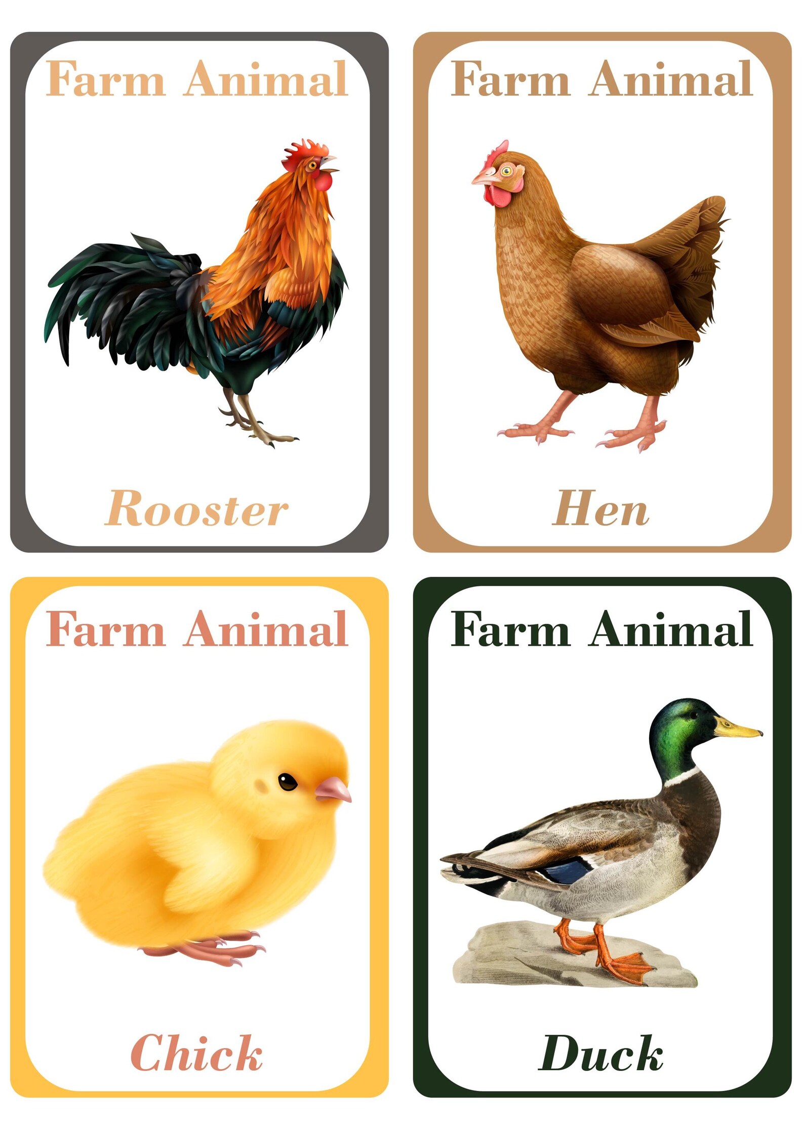 Farm Animals Flash Cards for Kids | Digital Download PDF & JPG ...