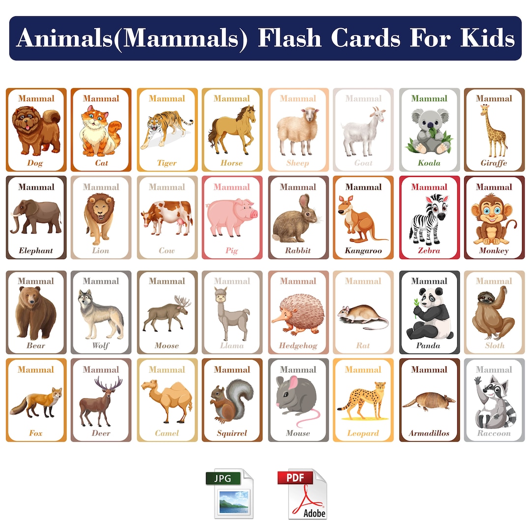 Animal Mammals Cards | Kids Flash Cards | Educational Learning Tool - Etsy