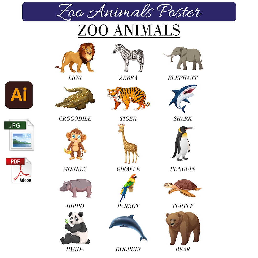 Zoo Animal Names Kids Poster PDF Printable JPG Instant Download - Etsy