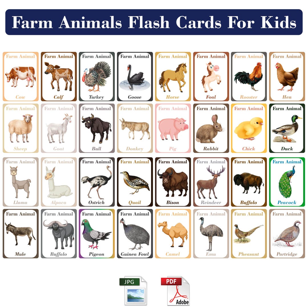 Farm Animals Flash Cards for Kids | Digital Download PDF & JPG ...