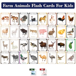 Farm Animals Flash Cards for Kids | Digital Download PDF & JPG ...
