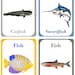 Educational Fish Flash Cards for Kids Fun Learning Tool 20 Unique ...