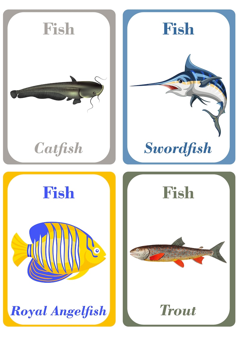 Educational Fish Flash Cards for Kids Fun Learning Tool 20 Unique ...