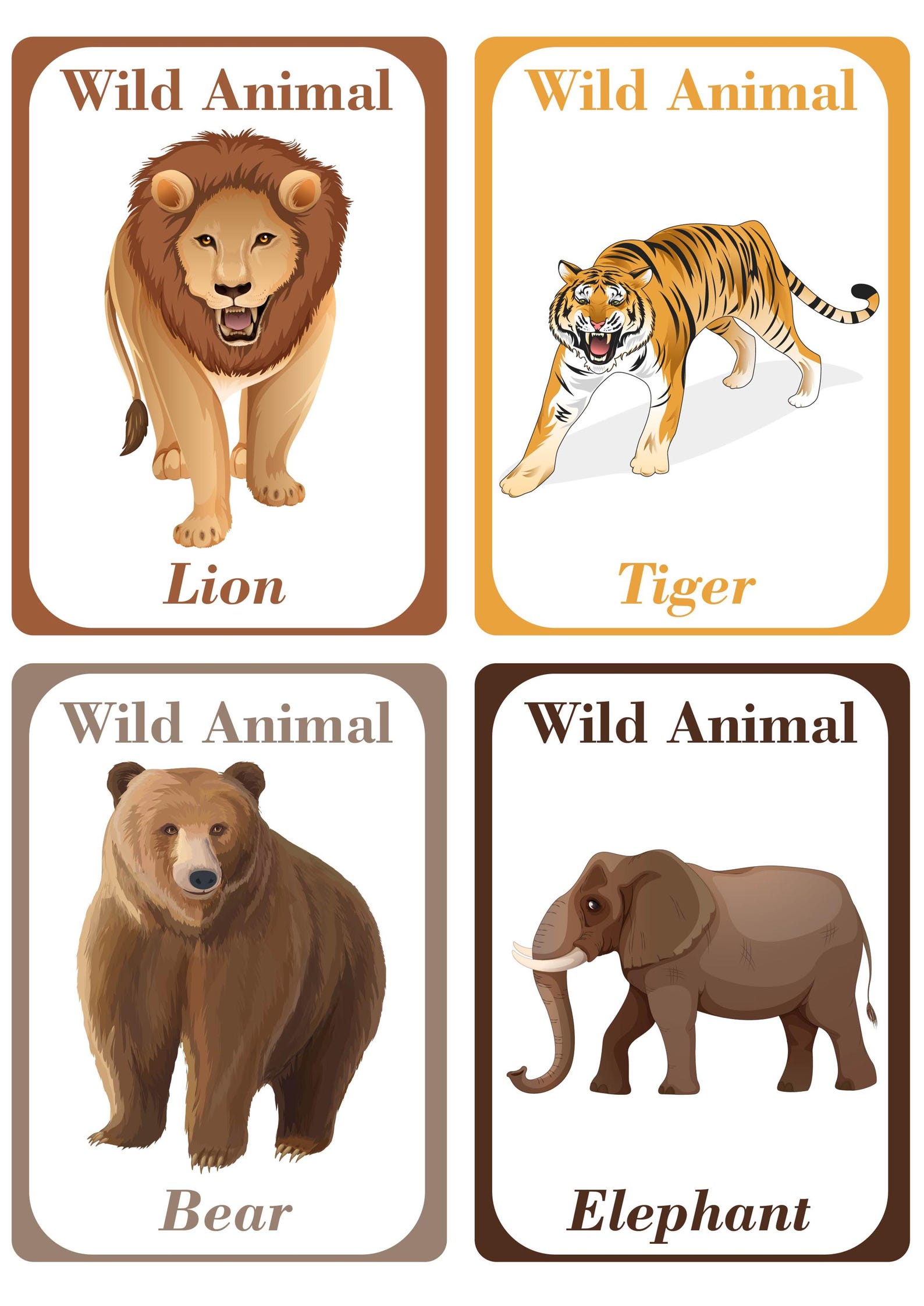 Wild Animals Flash Cards | Kids' Learning Cards (digital Download) - Etsy