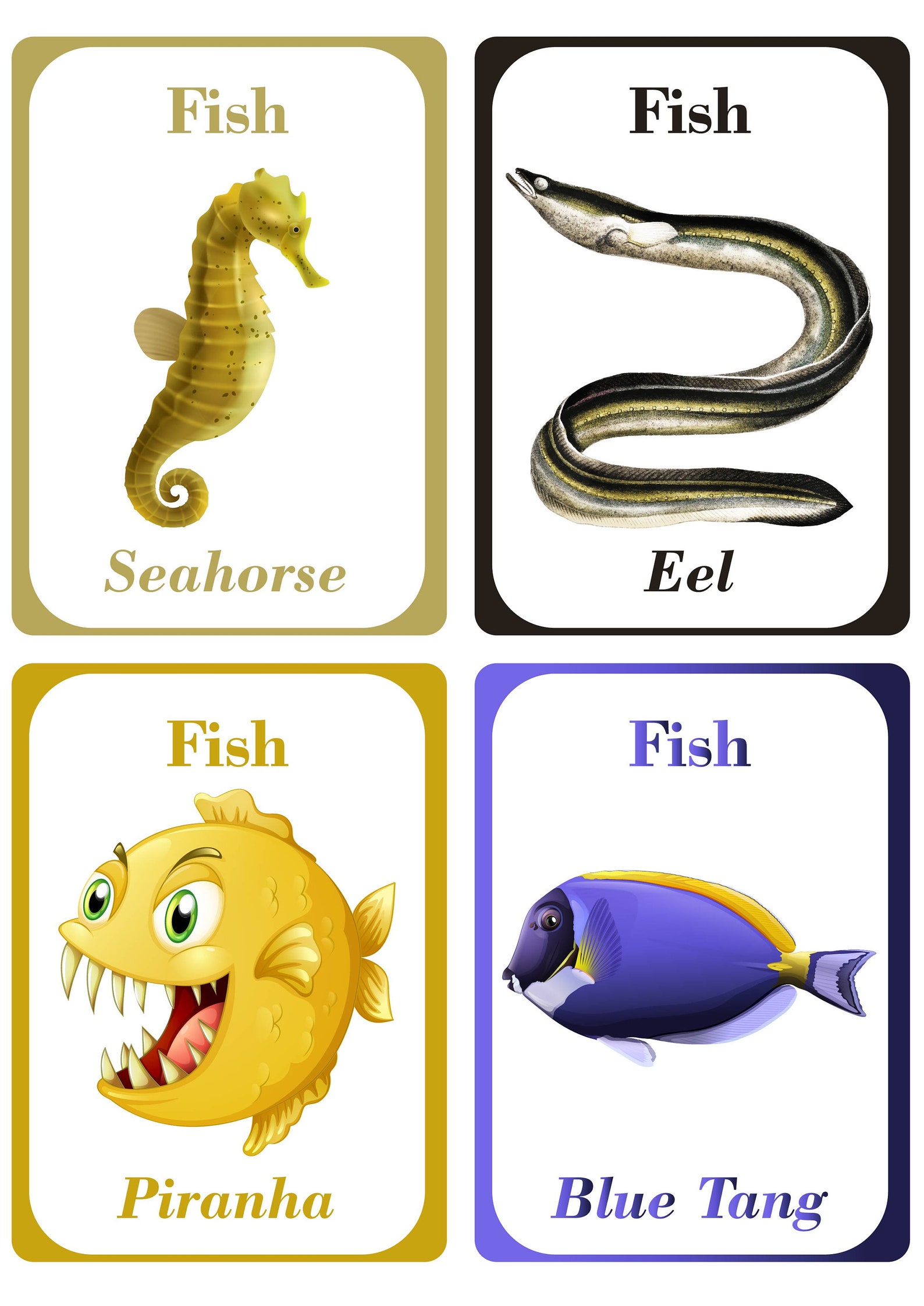 Educational Fish Flash Cards for Kids Fun Learning Tool 20 Unique ...