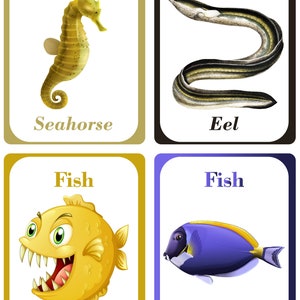 Educational Fish Flash Cards for Kids | Fun Learning Tool | 20 Unique ...
