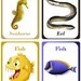 Educational Fish Flash Cards for Kids Fun Learning Tool 20 Unique ...