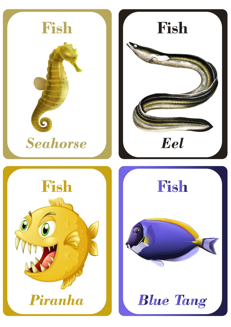 Educational Fish Flash Cards for Kids Fun Learning Tool 20 Unique ...