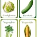 Vegetable Cards Flash Cards for Kids Educational and Fun Learning Tool ...
