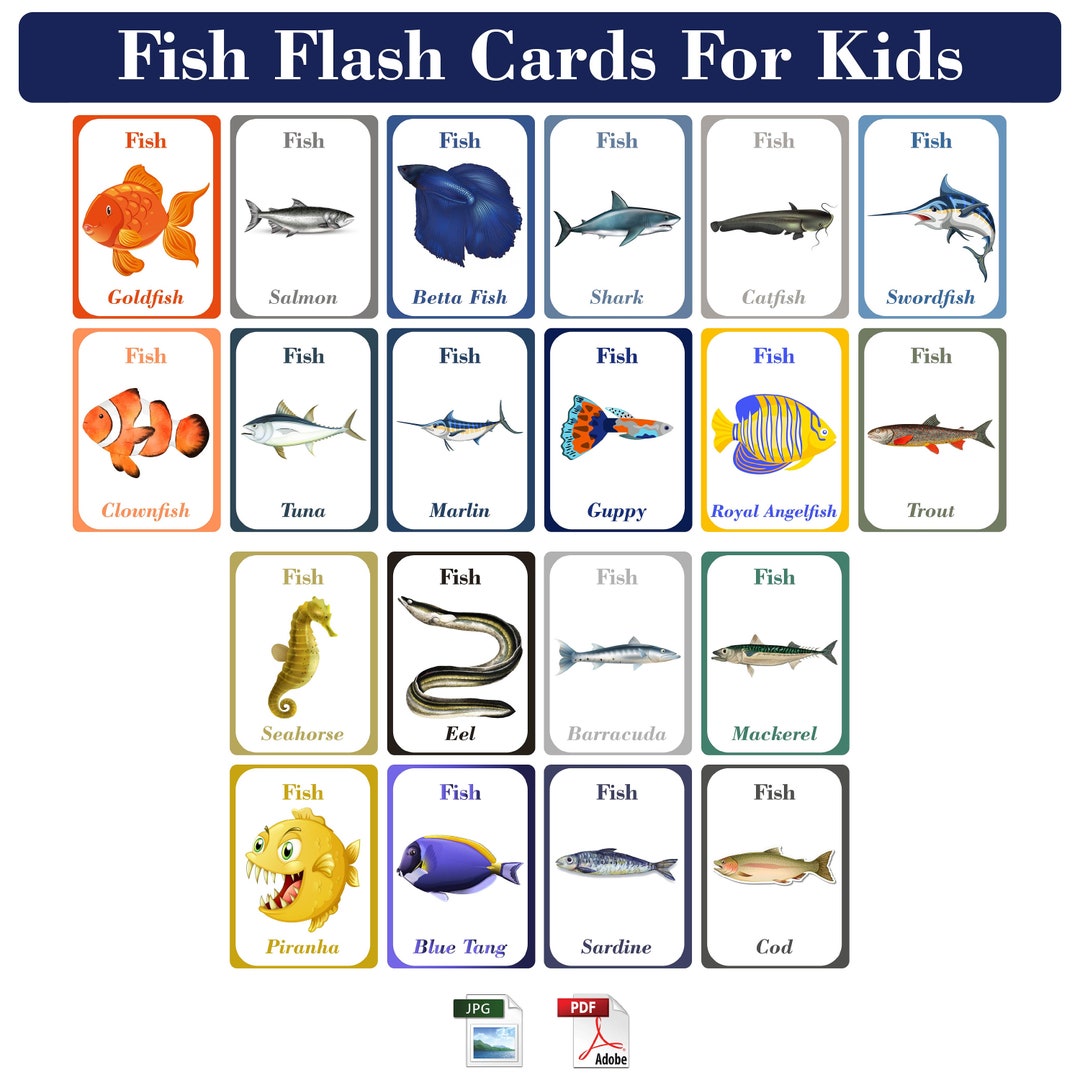 Educational Fish Flash Cards for Kids | Fun Learning Tool | 20 Unique ...