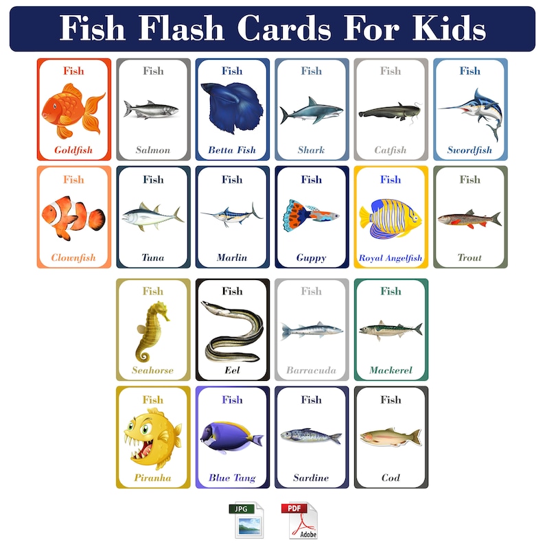Educational Fish Flash Cards for Kids Fun Learning Tool 20 Unique ...