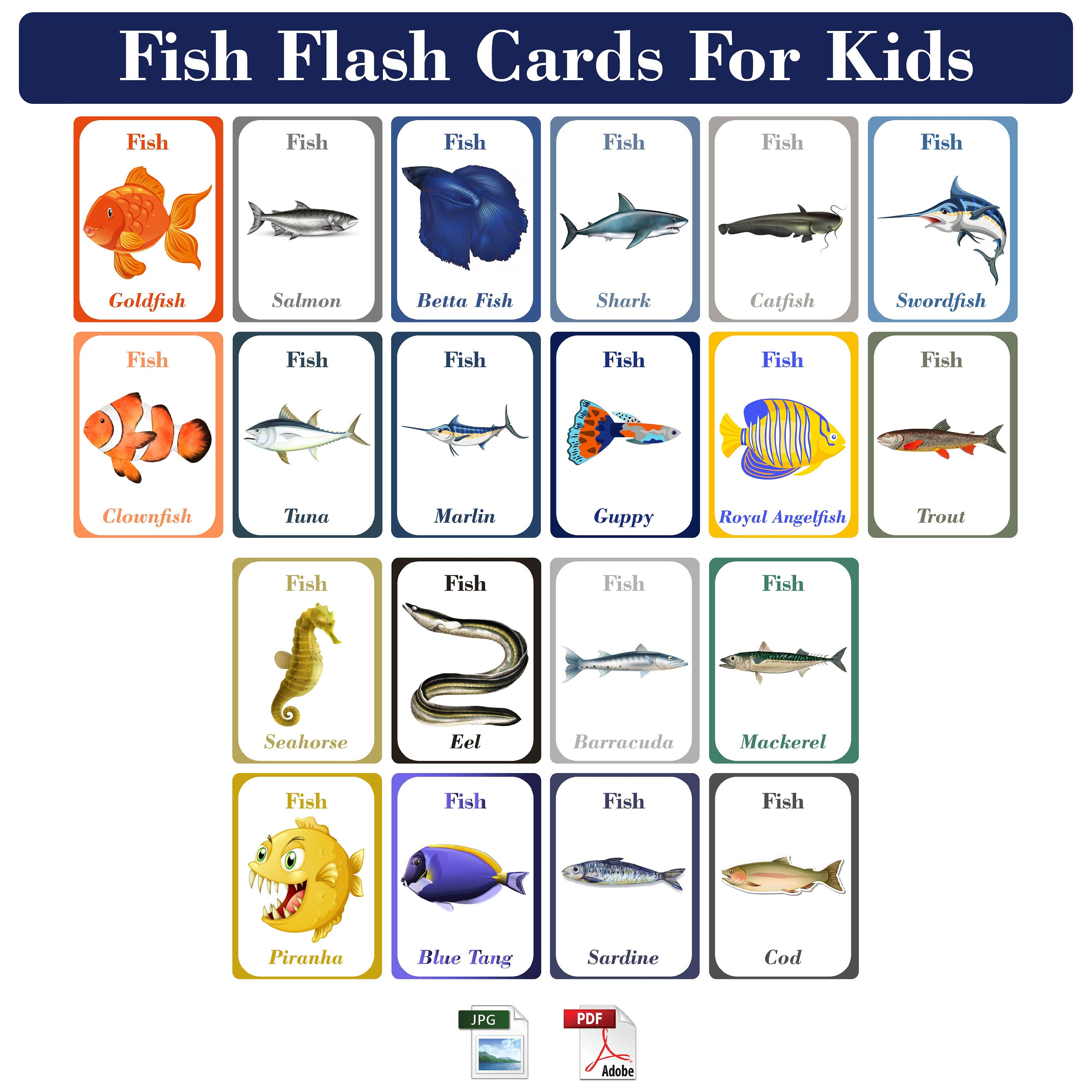Educational Fish Flash Cards for Kids Fun Learning Tool 20 Unique ...
