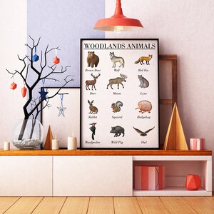Cultural Appreciation Poster Bundle | Fruits, Vegetables, Woodland ...