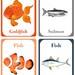 Educational Fish Flash Cards for Kids Fun Learning Tool 20 Unique ...