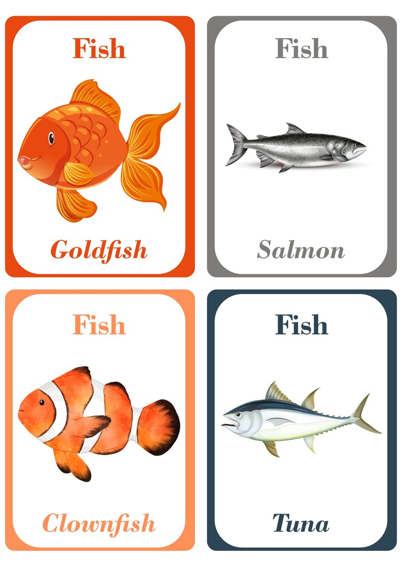 Educational Fish Flash Cards for Kids Fun Learning Tool 20 Unique ...