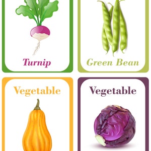 Vegetable Cards | Flash Cards for Kids | Educational and Fun Learning ...