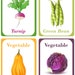 Vegetable Cards Flash Cards for Kids Educational and Fun Learning Tool ...
