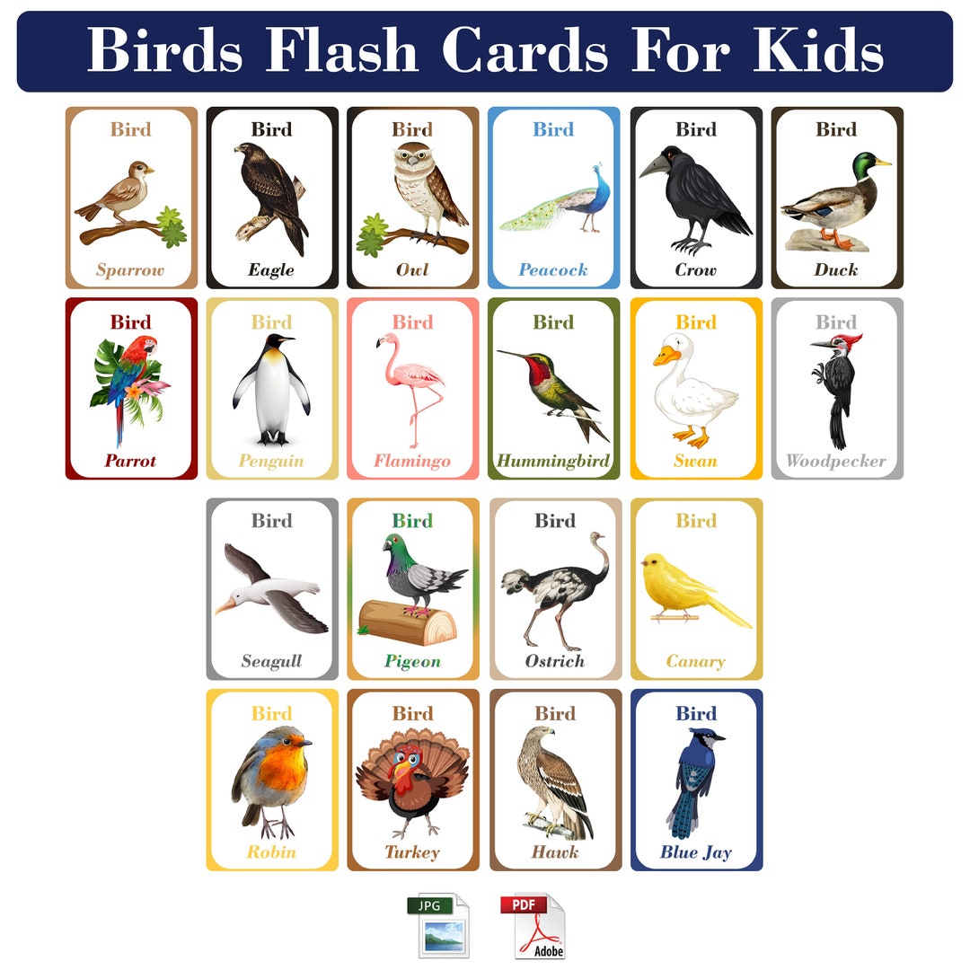 Bird Cards | Kids Flash Cards | Educational Printable | Toddler ...