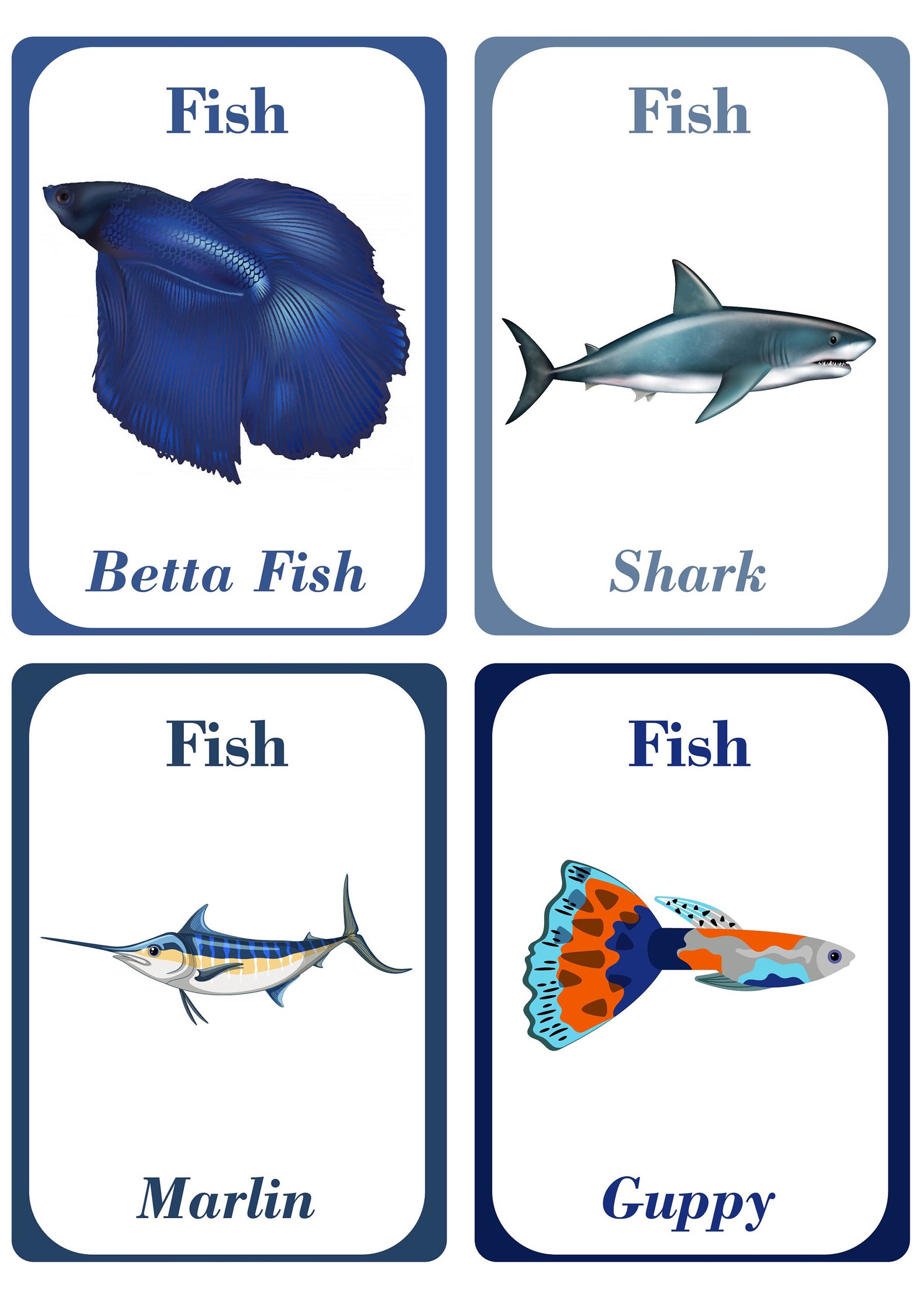 Educational Fish Flash Cards for Kids Fun Learning Tool 20 Unique ...