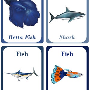 Educational Fish Flash Cards for Kids | Fun Learning Tool | 20 Unique ...