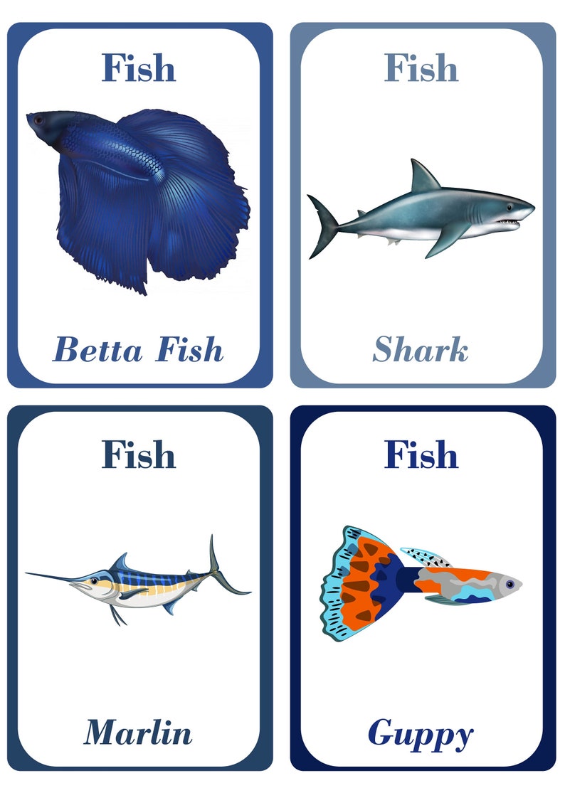 Educational Fish Flash Cards for Kids Fun Learning Tool 20 Unique ...