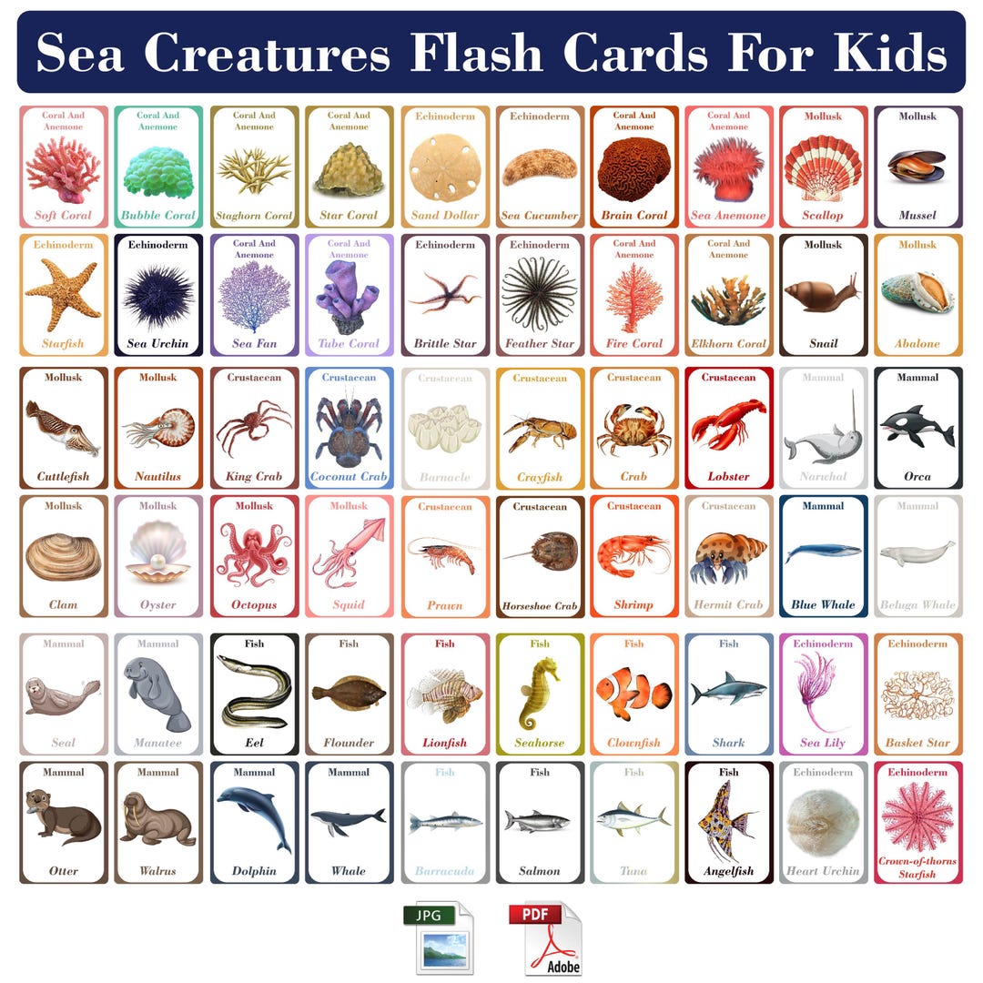 Sea Creatures Flash Cards for Kids, Educational PDF and JPG Download - Etsy