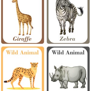 Wild Animals Flash Cards for Kids | Educational Flashcards | Safari ...