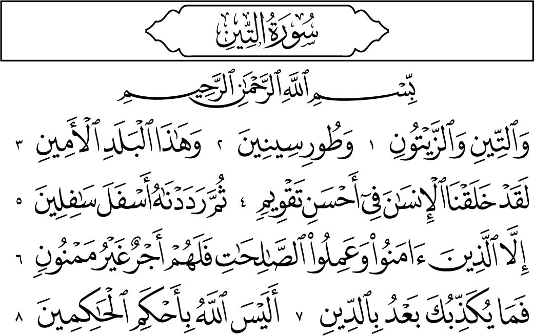 Surah At-tin 95 سورة التين Full Surah in Pdf, SVG, EPS, Printable ...