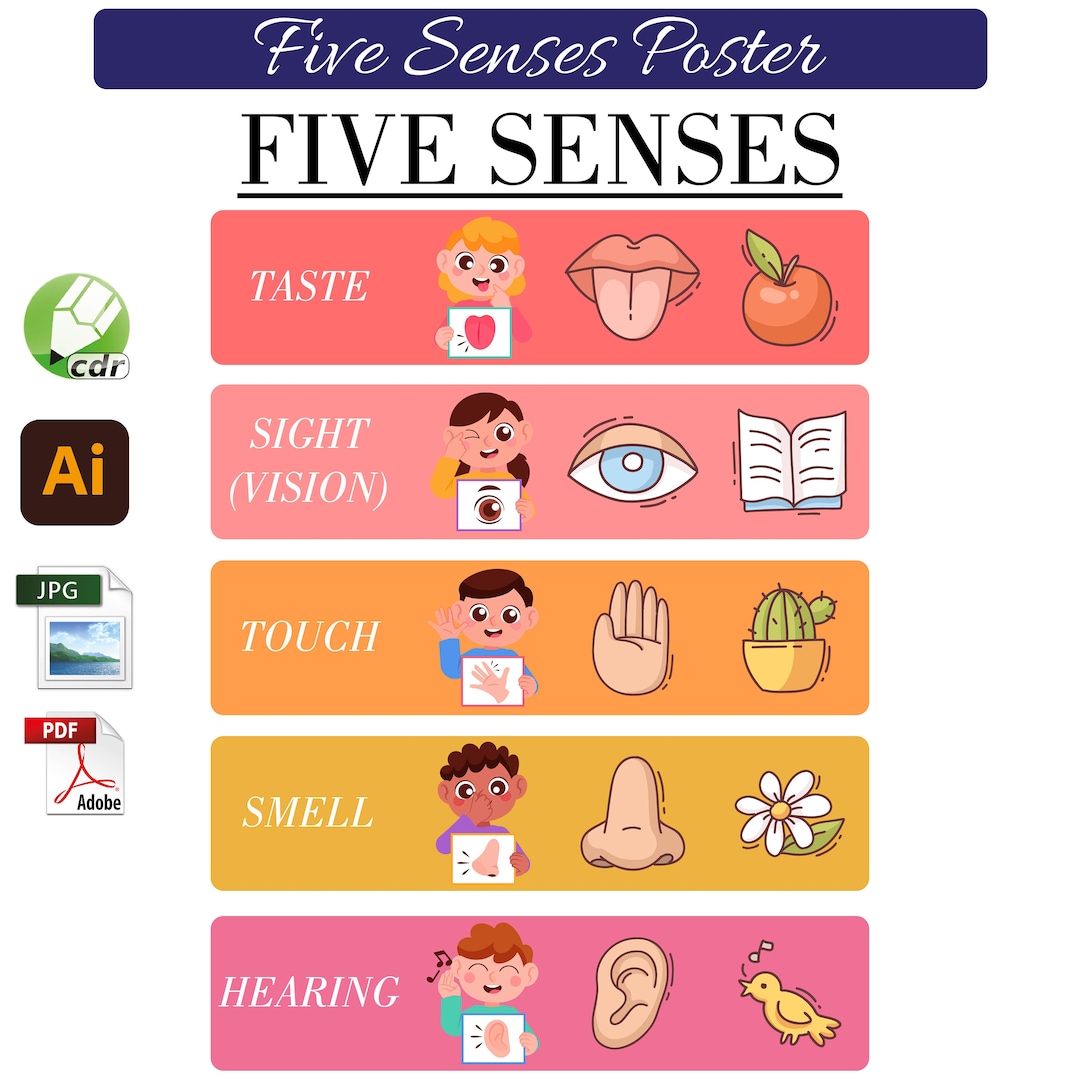 Five Senses Learning Poster for Kids Instant Download PDF JPG Printable ...