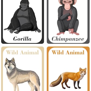 Wild Animals Flash Cards for Kids | Educational Flashcards | Safari ...