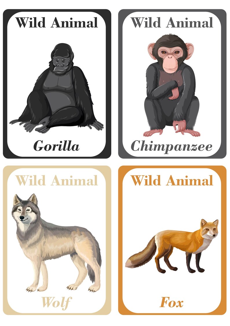 Wild Animals Flash Cards | Kids' Learning Cards (digital Download) - Etsy