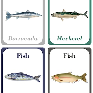 Educational Fish Flash Cards for Kids | Fun Learning Tool | 20 Unique ...